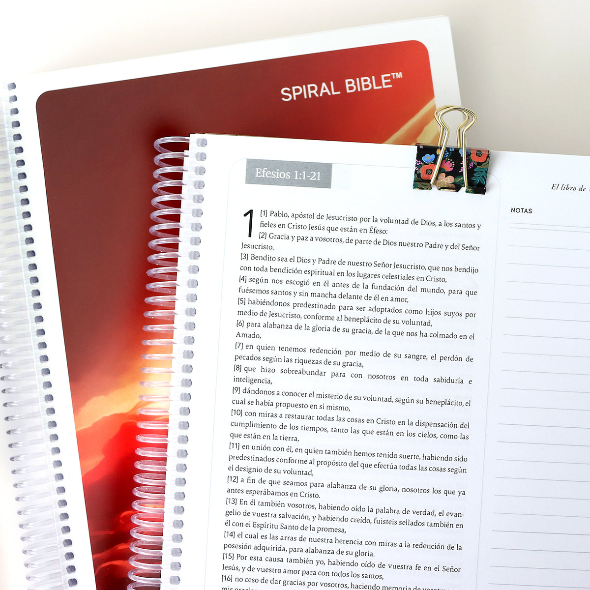 Libros De La Letra V Sopa De Letras De La Biblia, Letra Grande Libro