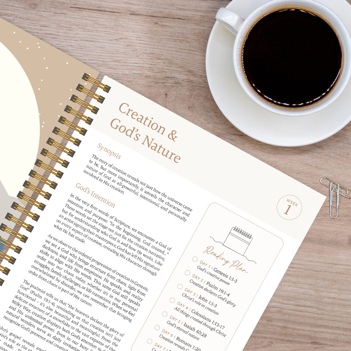 The Bible In A Year: A 52-Week Journey Through God's Word – Spiral Bible